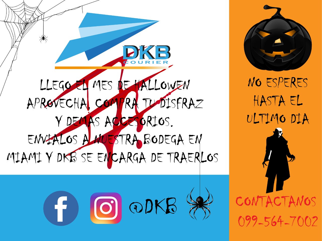 DKB COURIER – Expertos en courier internacional